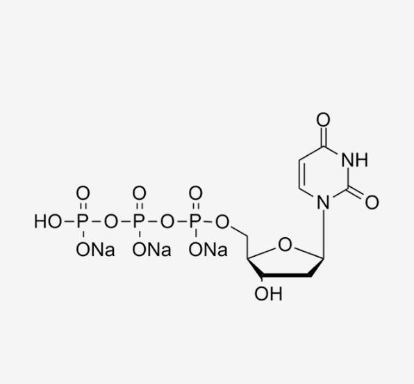 Colorless 100mm Solution 2 Deoxyadenosine 5 Triphosphate 5 Datp In