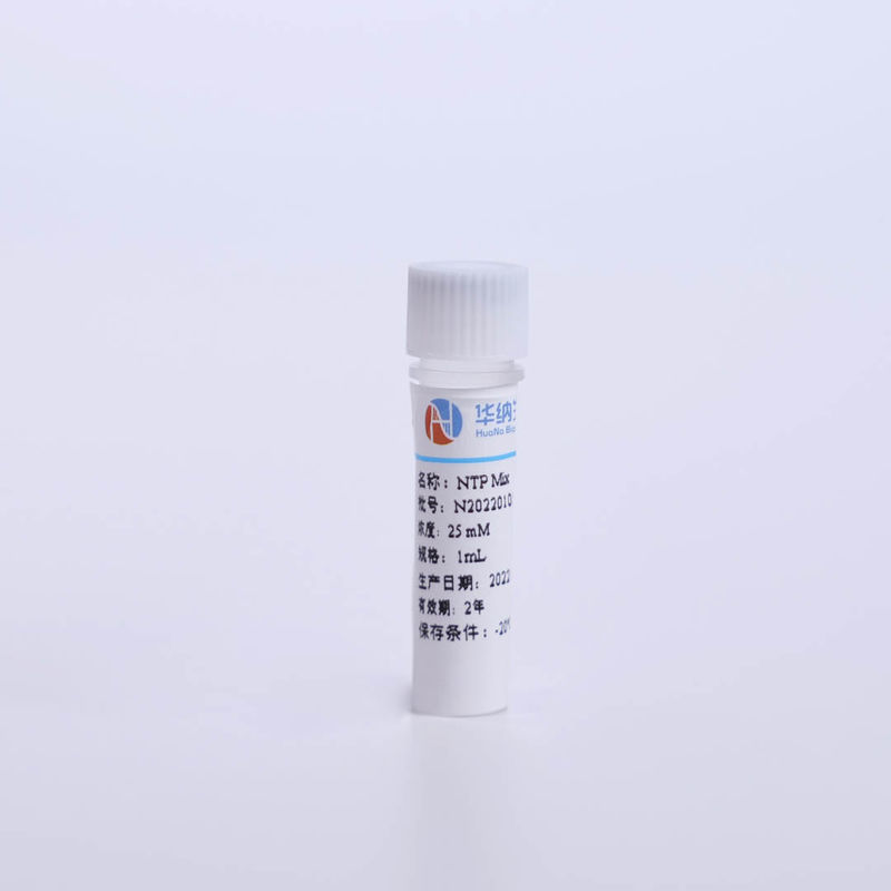 NTP Mix 25 mM Solution/HPLC≥99%/4 x 25 mM (ATP, CTP, GTP, UTP)